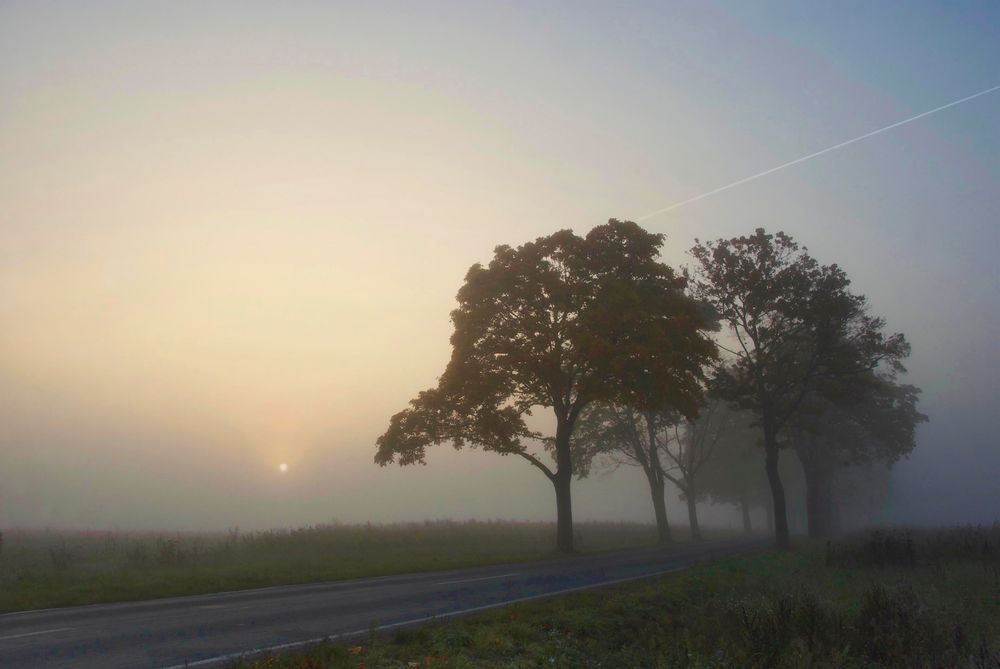 Allee Foto & Bild | world, spezial, brandenburg Bilder auf fotocommunity