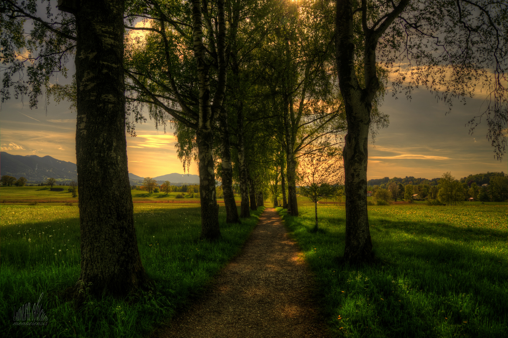 Allee Foto & Bild | deutschland, europe, bayern Bilder auf fotocommunity