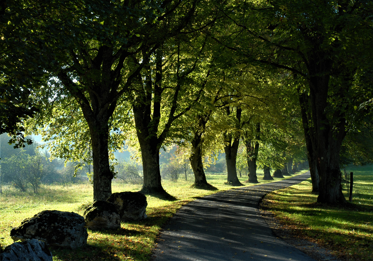 Allee bei St Johann Foto & Bild | deutschland, europe, baden ...