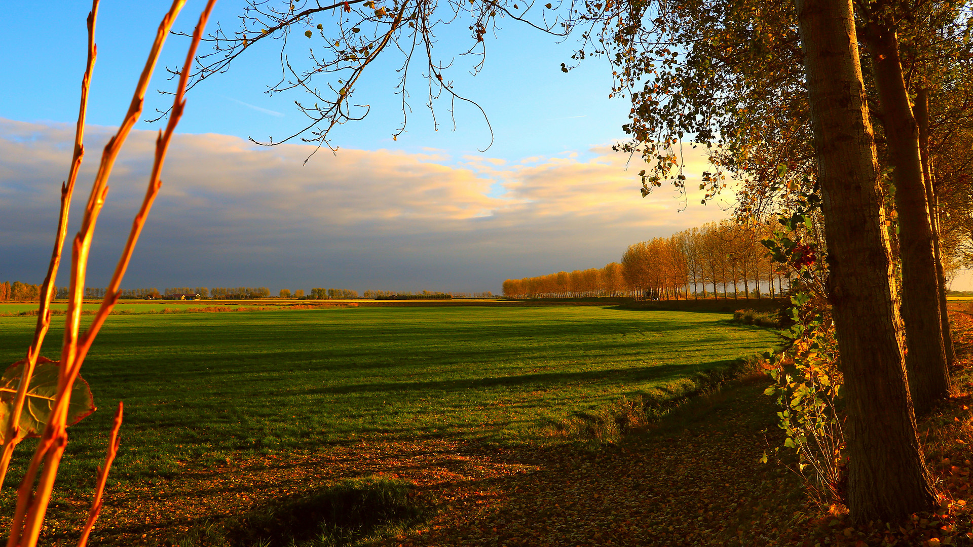 Allee im Herbstlicht Foto & Bild | urlaub, bäume, wolken Bilder auf ... Allee im Herbstlicht Foto & Bild | urlaub, bäume, wolken Bilder auf ...