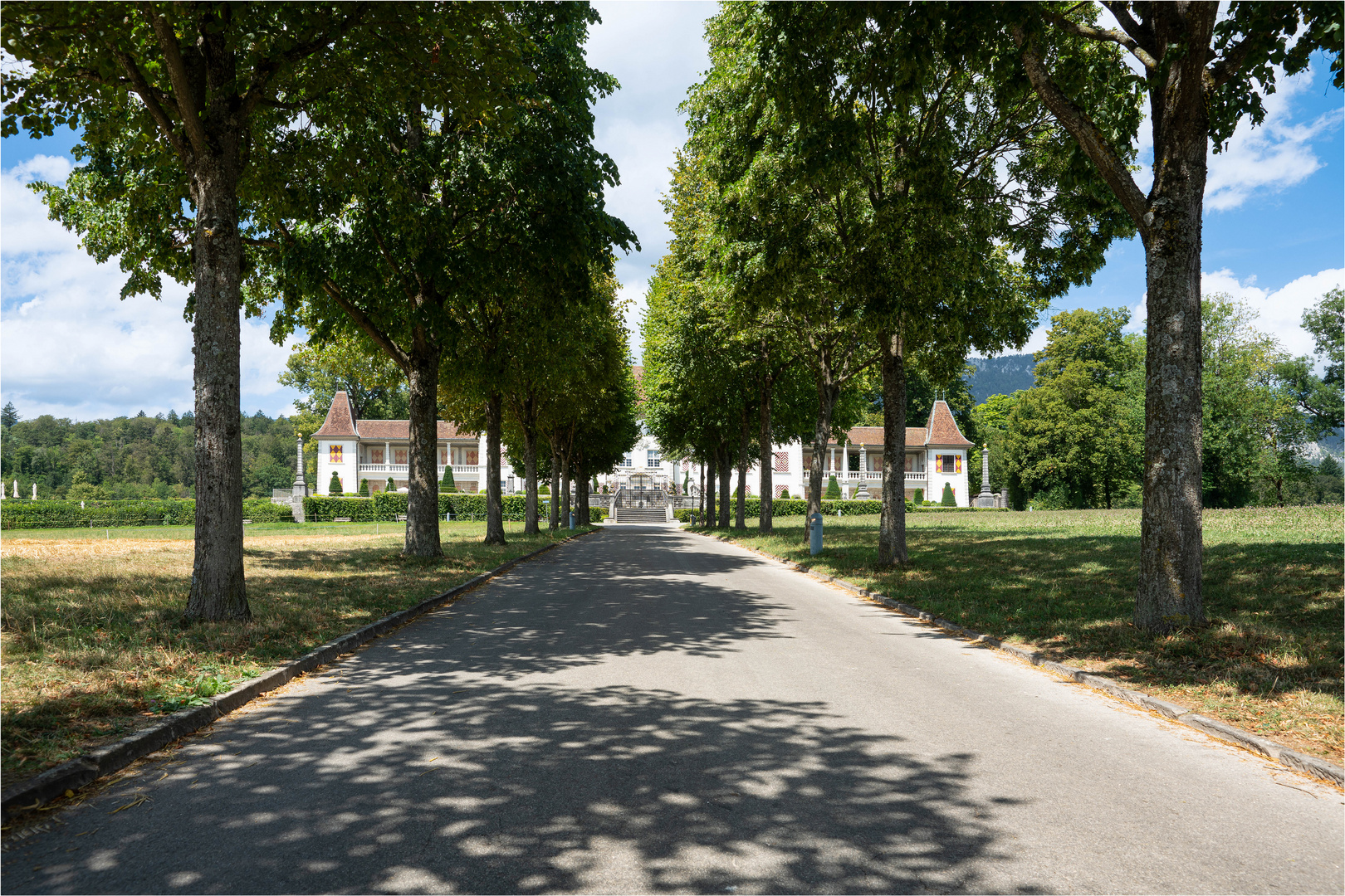 Allee zum Schloss Waldegg Foto & Bild | architektur, europe, schweiz ...