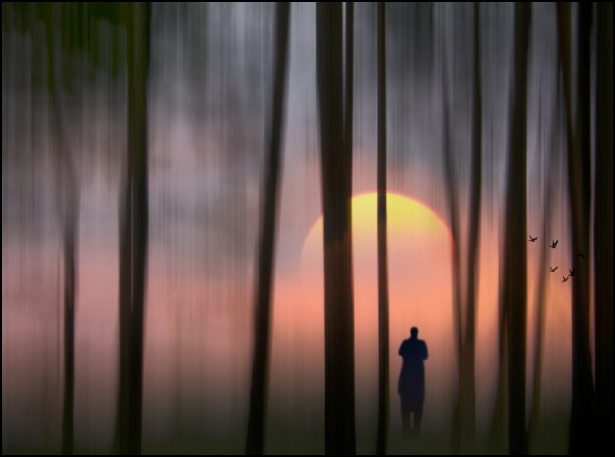 allein.... Foto & Bild | bäume, sonne, wolken Bilder auf fotocommunity