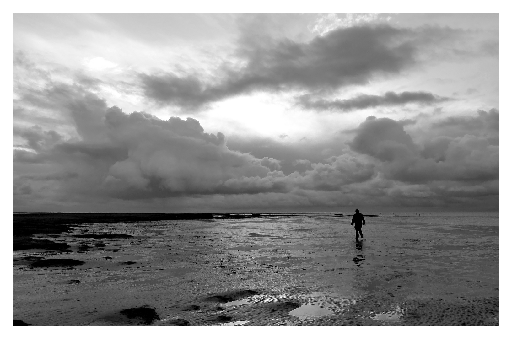 Allein Foto & Bild | anfängerecke - nachgefragt, natur Bilder auf ...