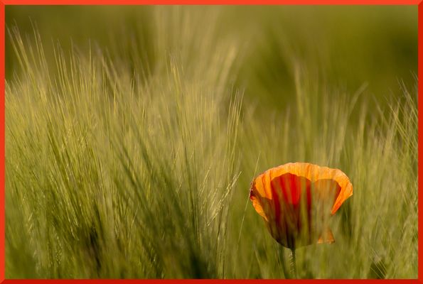 Florian Rost - Fotos & Bilder - Fotograf aus Weimar, Deutschland ...