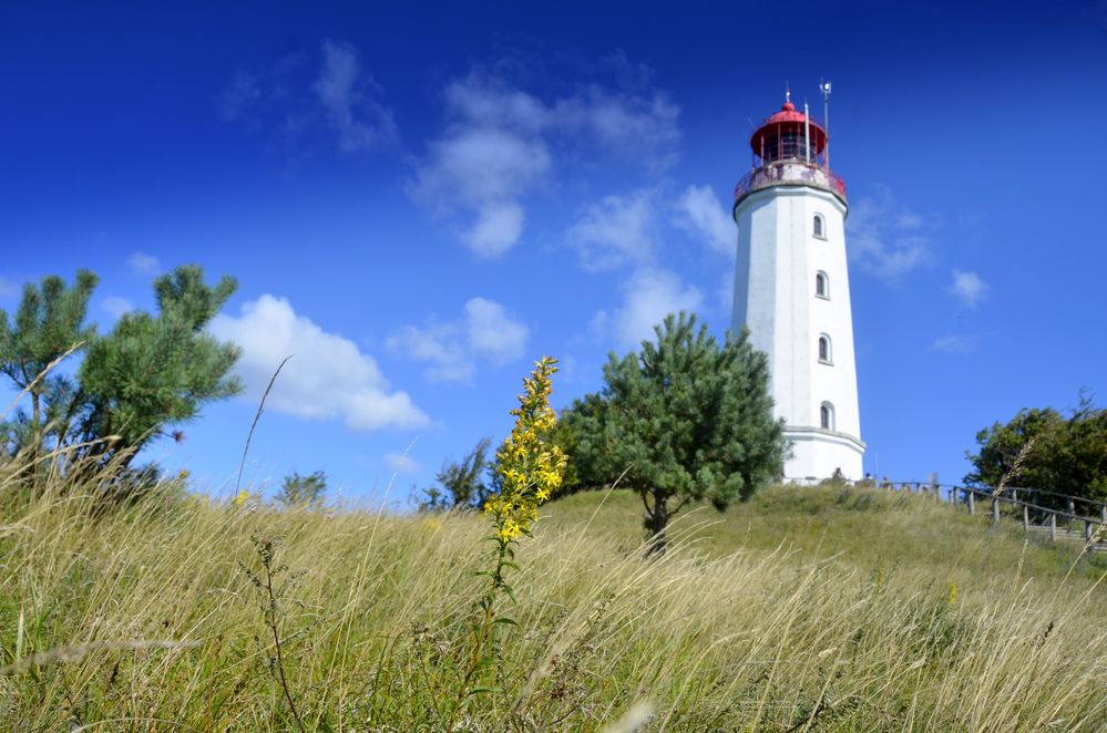 Alleine auf dem Berg Foto & Bild | world, natur, herbst Bilder auf ...