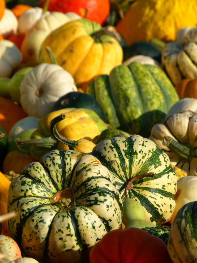 Allerlei Foto & Bild | pflanzen, pilze & flechten, getreide und ...