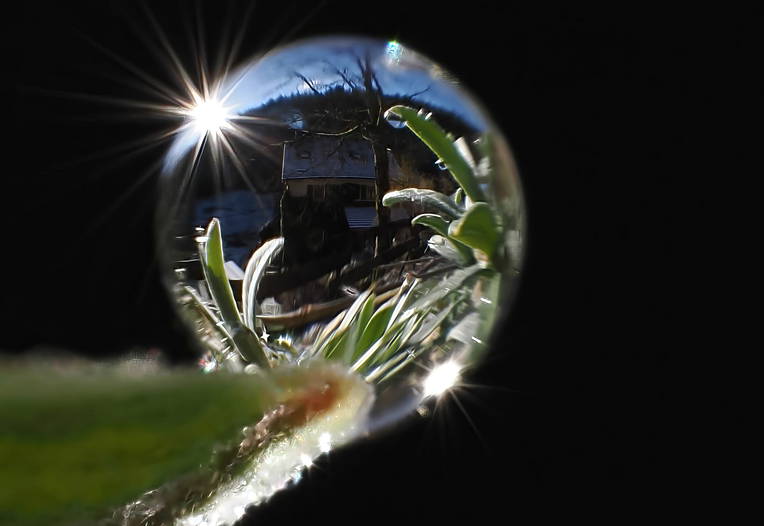 alles durch einen Wassertropfen Foto & Bild | nah- & makro, sonstiges ...