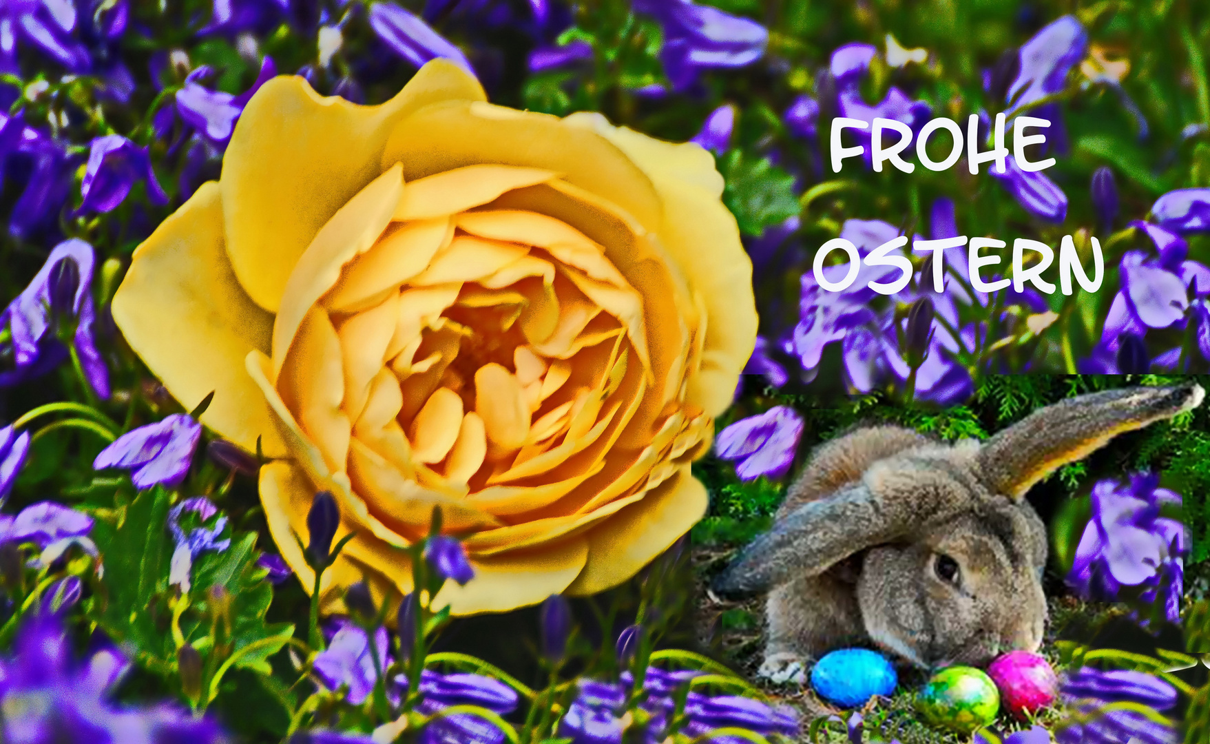 Alles Gute zum Osterfest Foto & Bild | spezial, makro, ostern Bilder ...