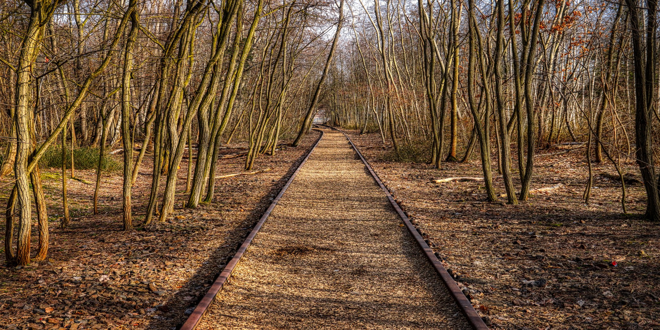 Alles hat einmal ein Ende ... Foto & Bild | jahreszeiten, frühling, projekte Bilder auf ...
