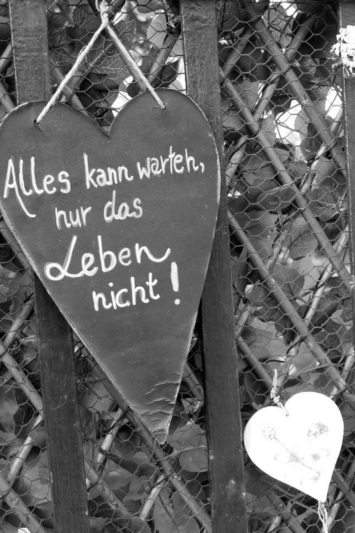 Alles kann warten, nur das Leben nicht ! Foto & Bild | spezial ...