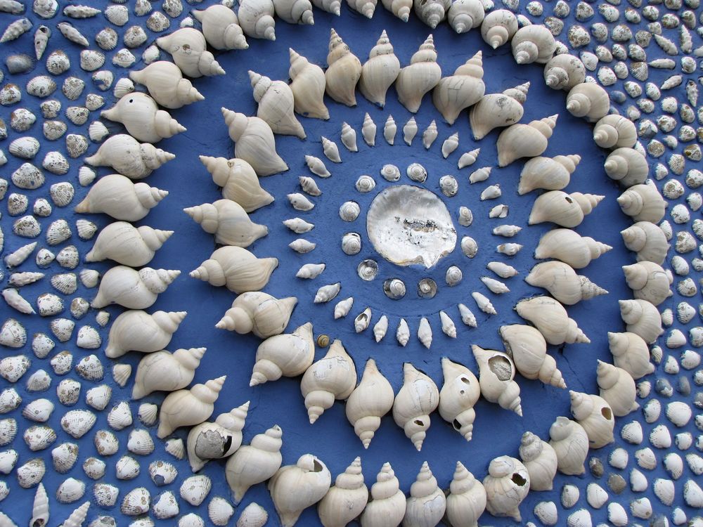 Alles Muscheln Foto & Bild | spezial, natur, motive Bilder auf ...