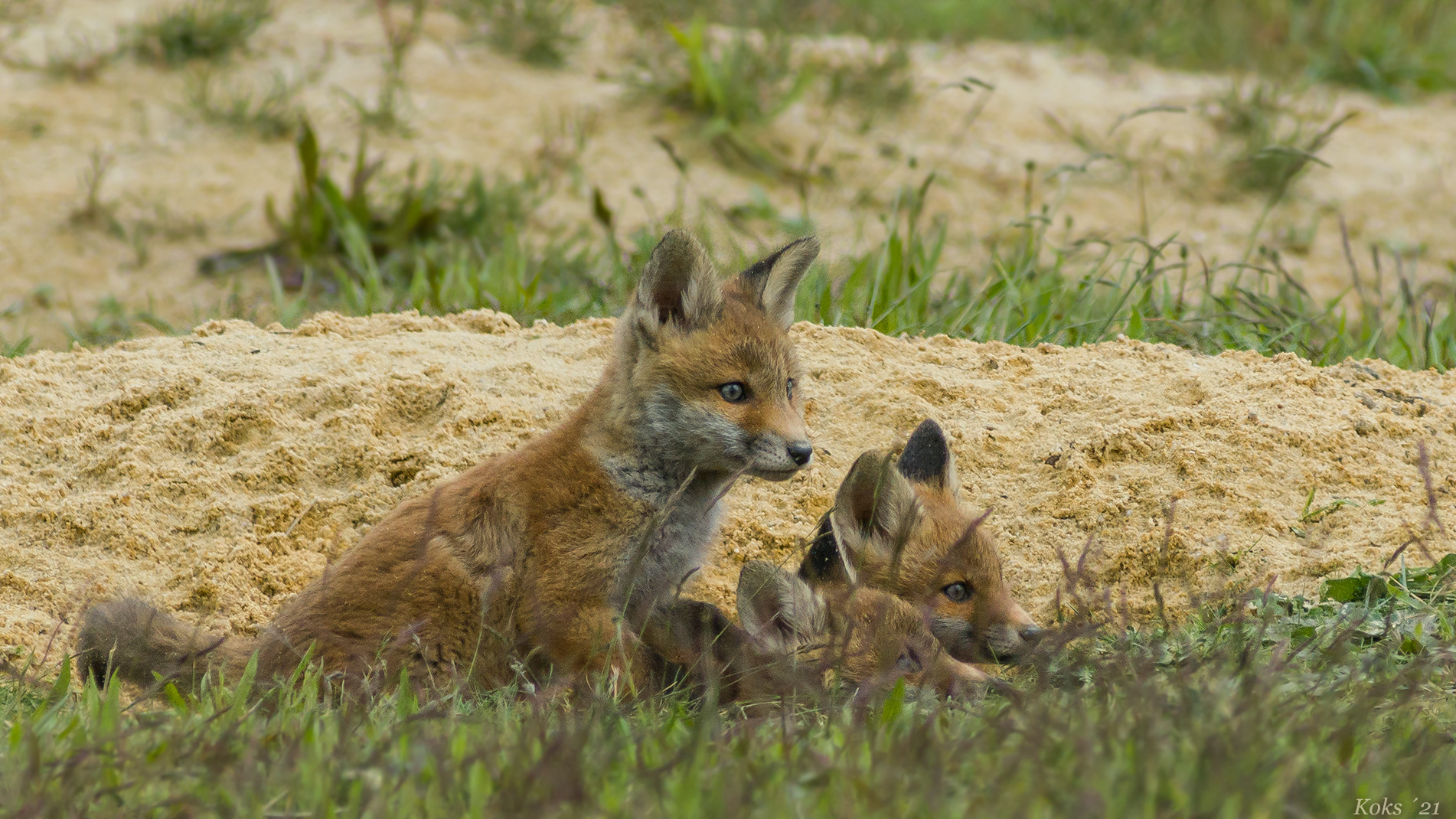 Alles spannend Foto & Bild | frühling, natur, tiere Bilder auf ...