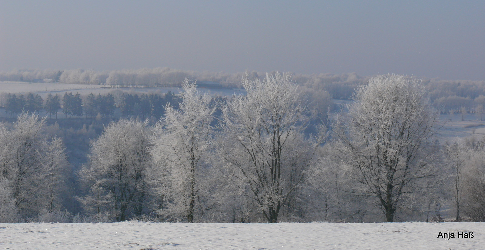 Alles weiß 2 Foto & Bild | jahreszeiten, winter, landschaften Bilder ...