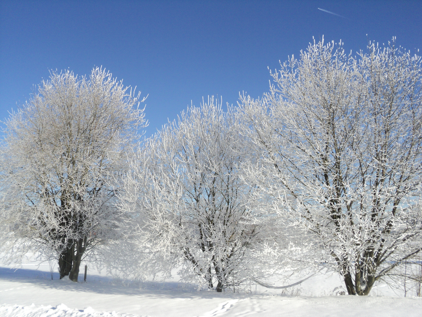 """Alles weiß""" 2016 Foto & Bild | jahreszeiten, winter, winterbilder ...