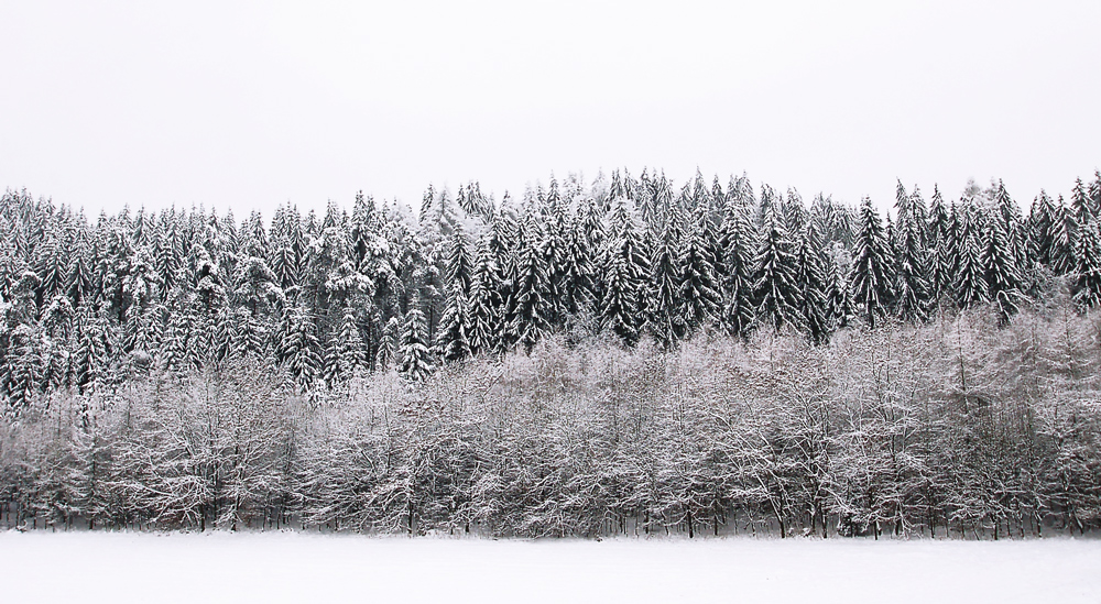 Alles Weiss Foto & Bild | 52 wochen!, 52. wochen archiv , 4.1.-10.1.10 ...