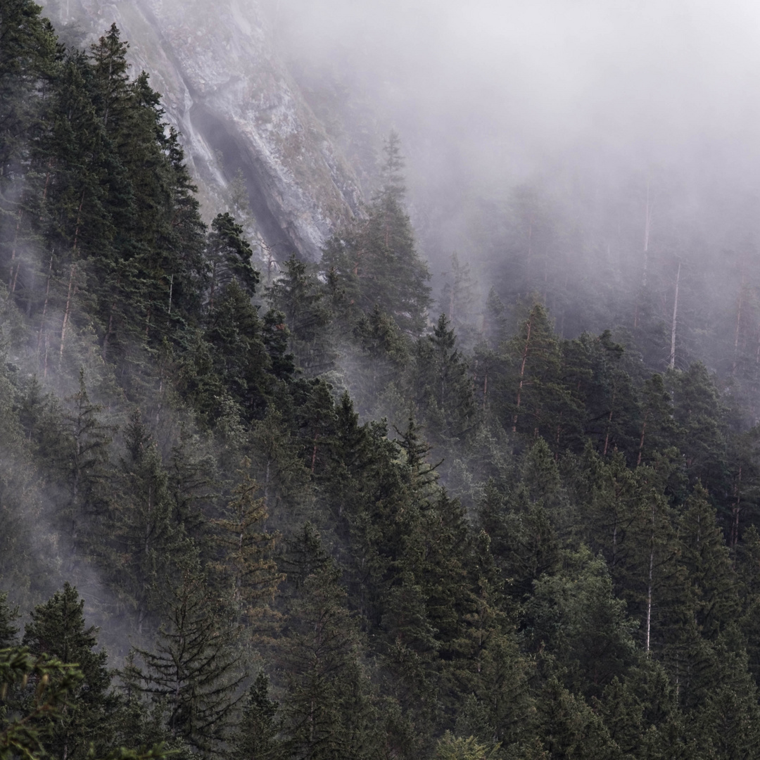 Allgäuer Alpen im Nebel 2 Foto & Bild | mystisch, bäume, himmel Bilder ...