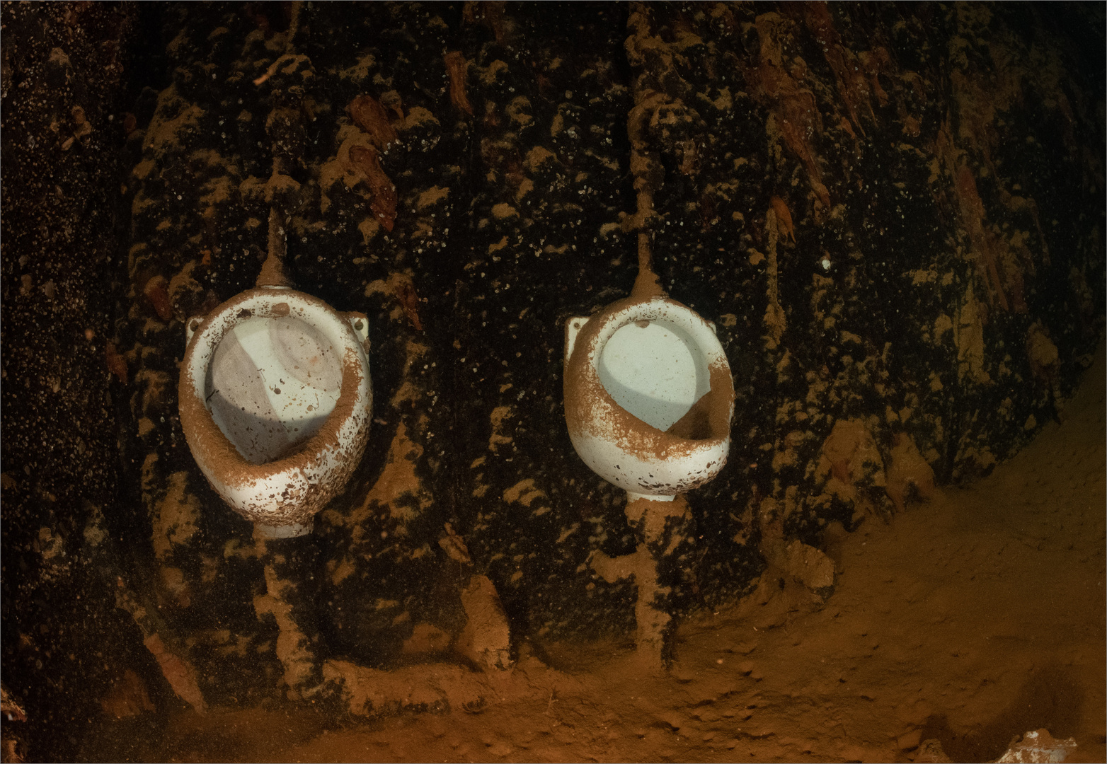 allzu menschliches.... Foto & Bild | world, wasser, natur Bilder auf ...