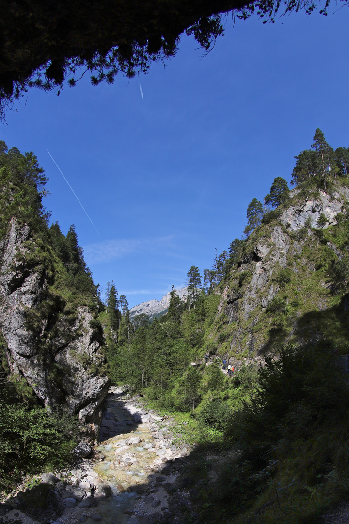 Almbachklamm (2019_09_10_6064_ji) Foto & Bild | bäume, natur ...