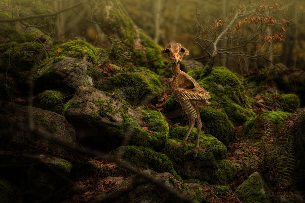 alone Foto & Bild | fotomontage, fantasy mystery, composing Bilder auf fotocommunity