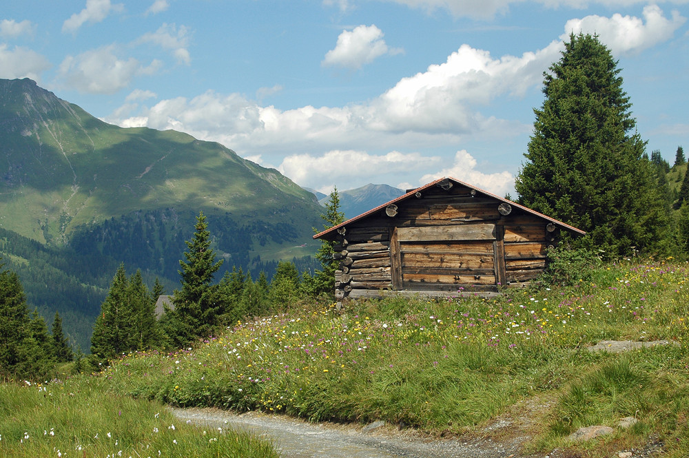 Alp Flix Foto & Bild | europe, schweiz & liechtenstein, kt. graubünden ...