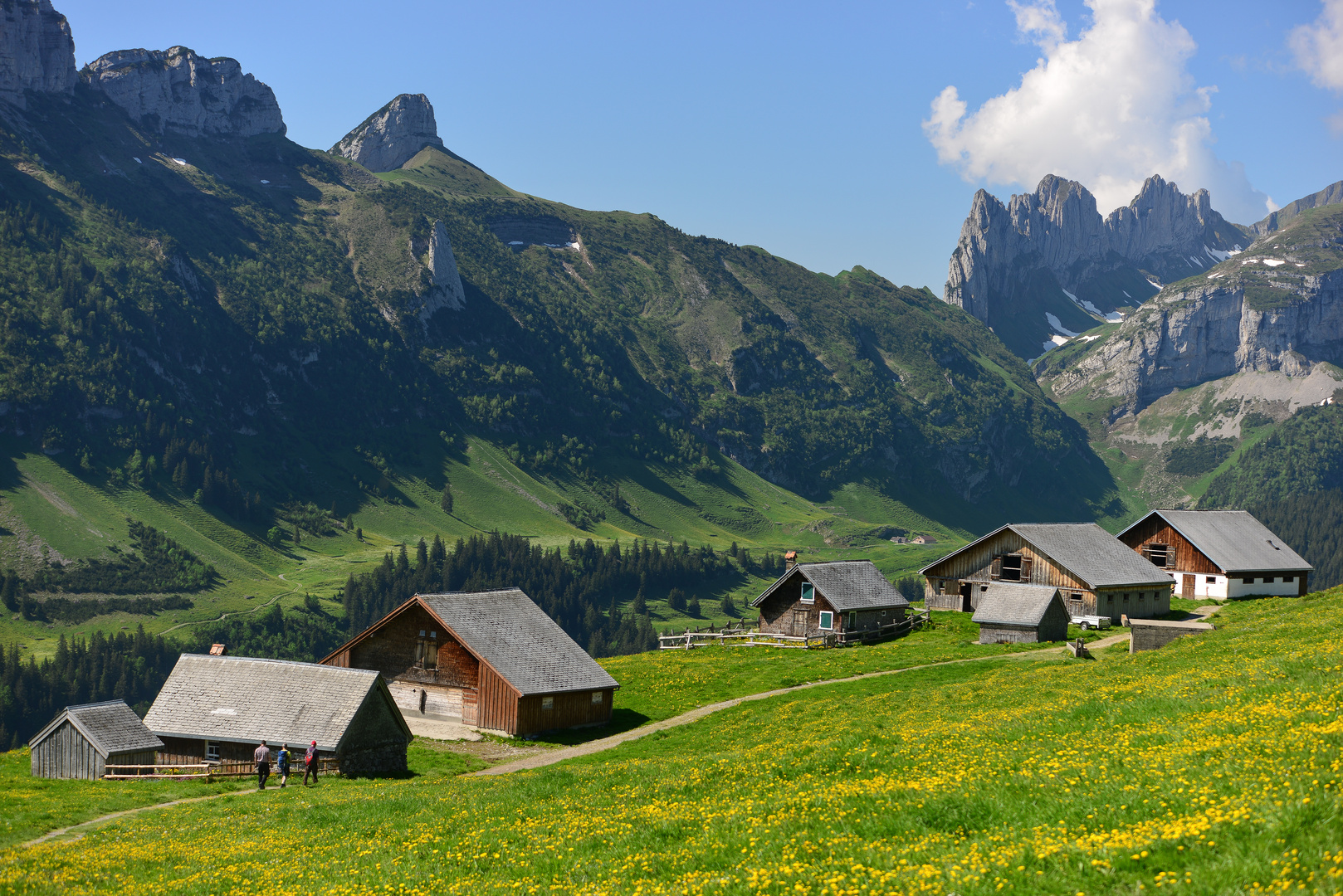 Alp Sigel Foto & Bild | landschaft, berge, schweiz Bilder auf fotocommunity