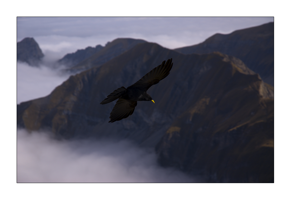 [ Alpendole Berge ] Foto & Bild | europe, schweiz & liechtenstein, kt ...