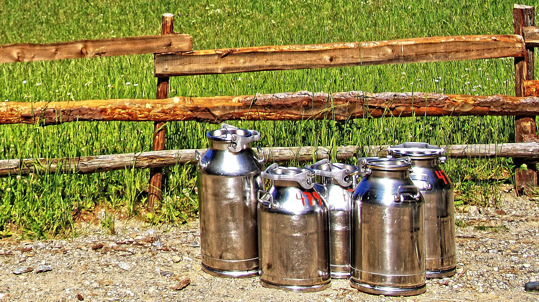 Alpenmilch Foto & Bild | europe, italy, vatican city, s marino, italy ...