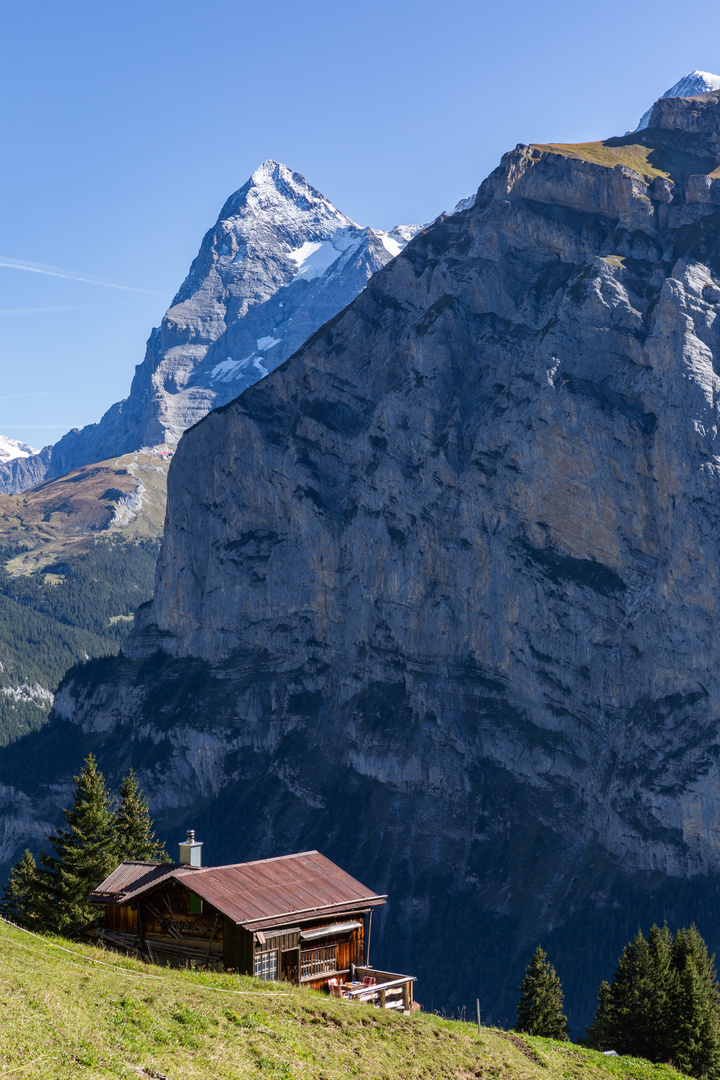 Alphütte und Eiger (3970 m.ü.M.) Foto & Bild | schweiz, berner oberland, eiger Bilder auf ...