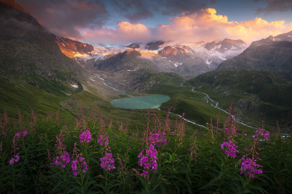 alpine summer ] Foto & Bild | nature, sunset, world Bilder auf ...