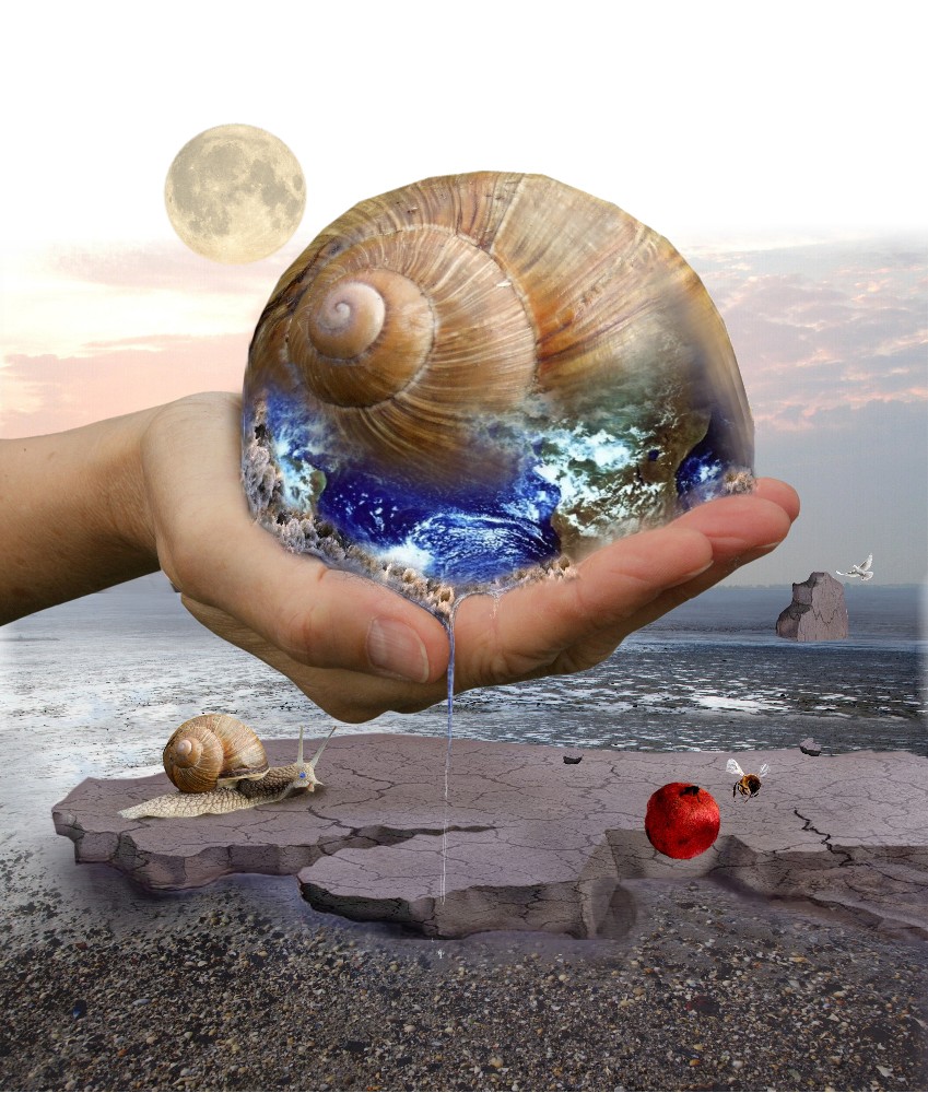 Alptraum einer Schnecke Foto & Bild | fotomontage, fantasy mystery, welten Bilder auf fotocommunity