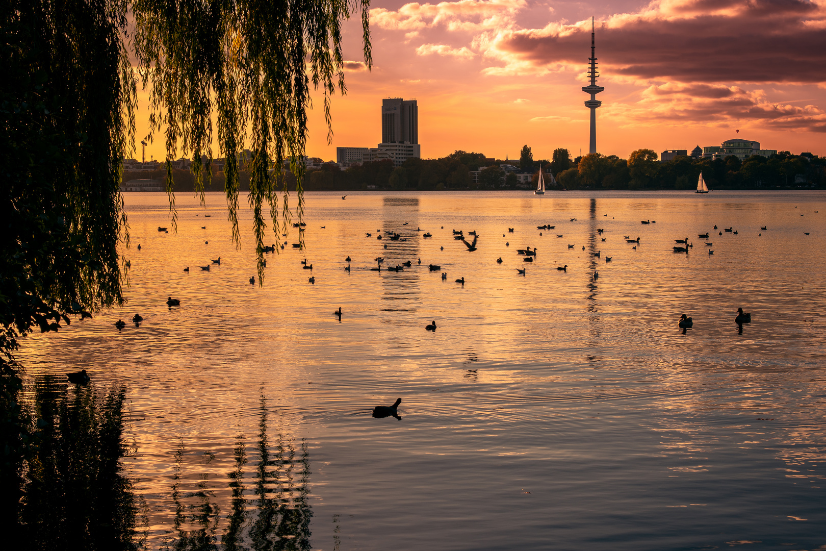 Alster Sonnenuntergang im Herbst Foto & Bild | himmel, natur, herbst ...