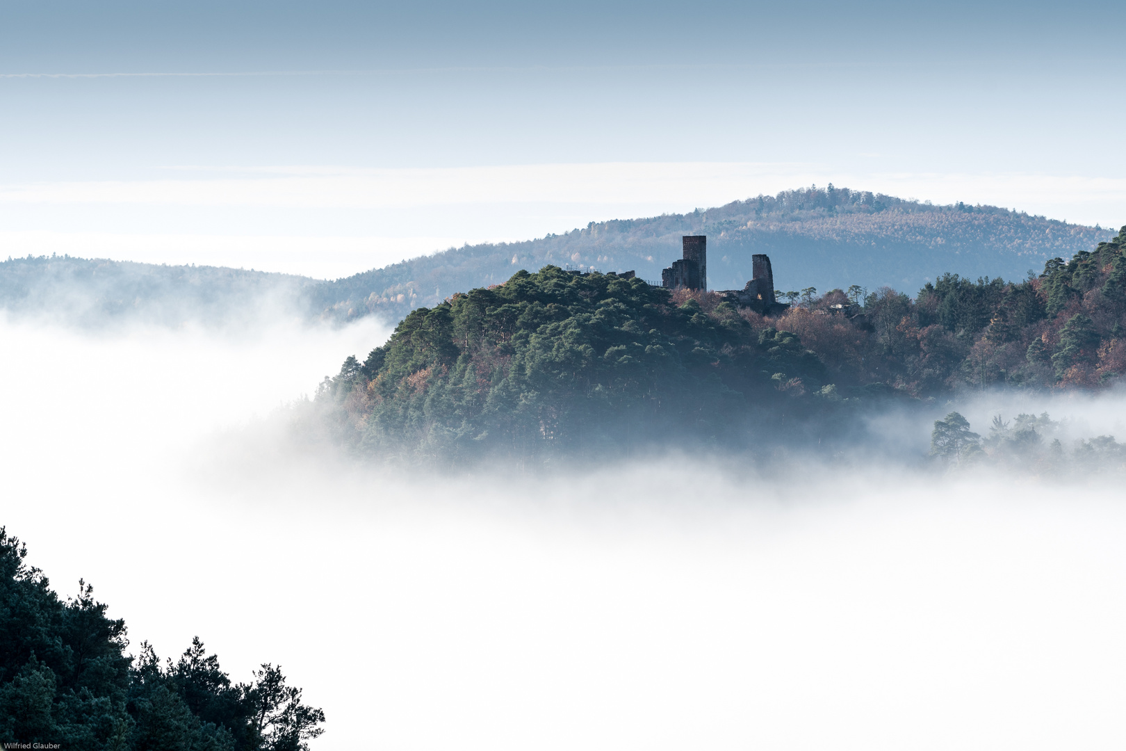 Alt-Dahn Foto & Bild | landschaft, wald, natur Bilder auf fotocommunity