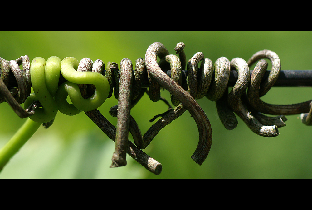 alt und neu... Foto & Bild | emotionen, hoffnung, spezial Bilder auf ...