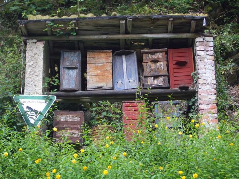 Alte Bienenstöcke Foto & Bild | tiere, wildlife, insekten Bilder auf ...