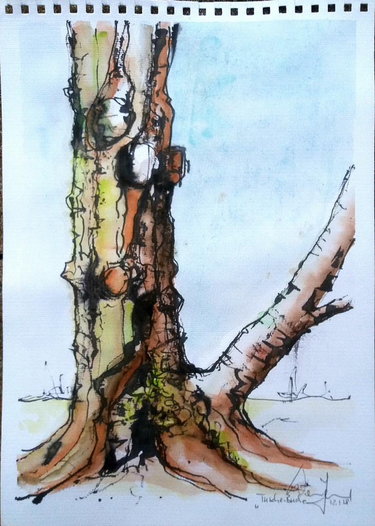 Alte Buche... Foto & Bild | kunstfotografie & kultur, gemälde & skulpturen, gemälde und ...