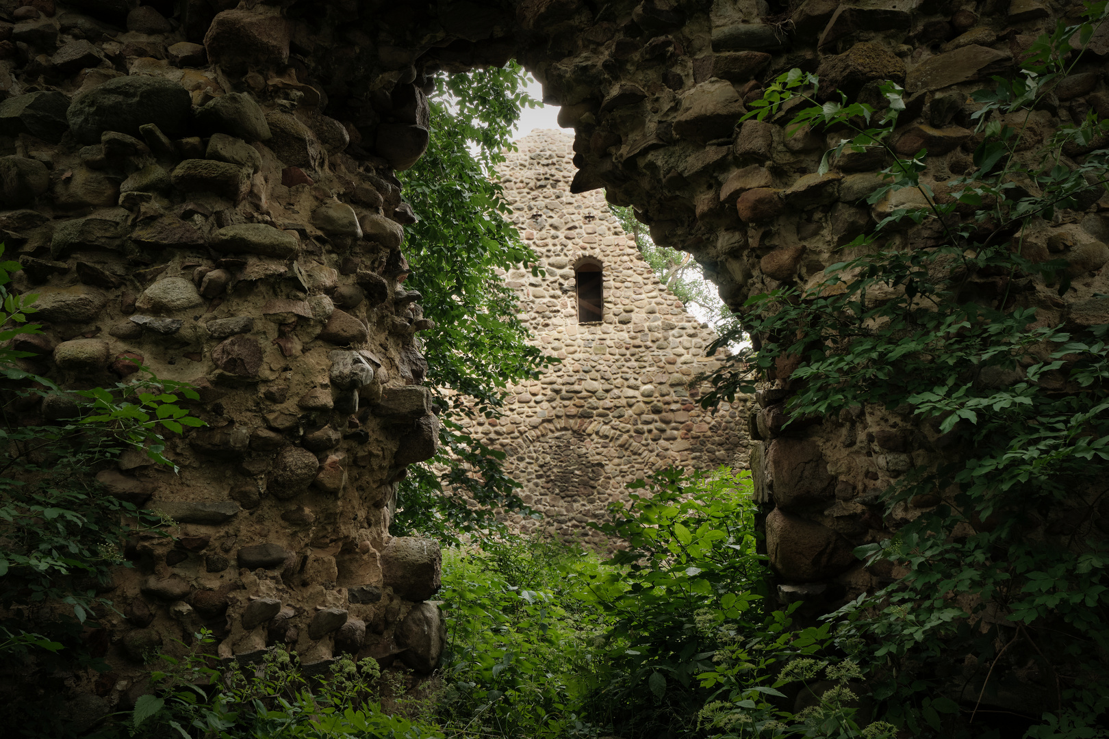 alte Burg Foto & Bild | landschaft, projekte, rückkehr der natur Bilder ...