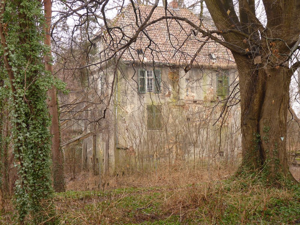 Alte Eiche Foto & Bild | architektur, motive Bilder auf fotocommunity