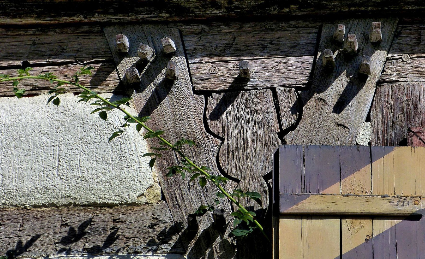 Alte Handwerkskunst Foto & Bild | fachwerkhaus, blaubeuren, archiv ...
