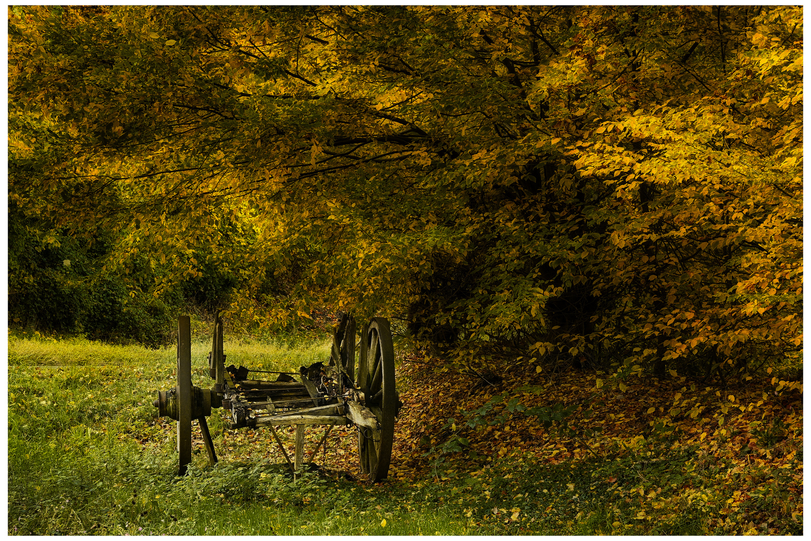Alte Karre Foto & Bild | abstraktes, jahreszeiten, herbst Bilder auf ...