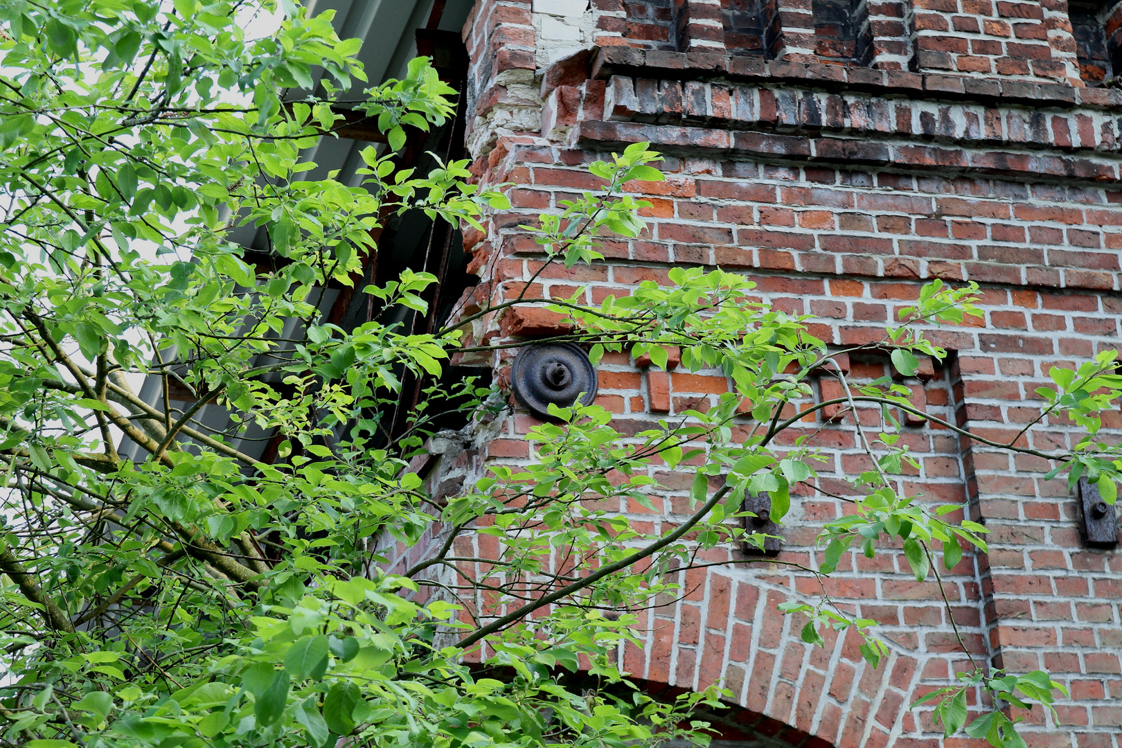 Alte Mauer Foto & Bild | architektur, stadtlandschaft, historisches ...