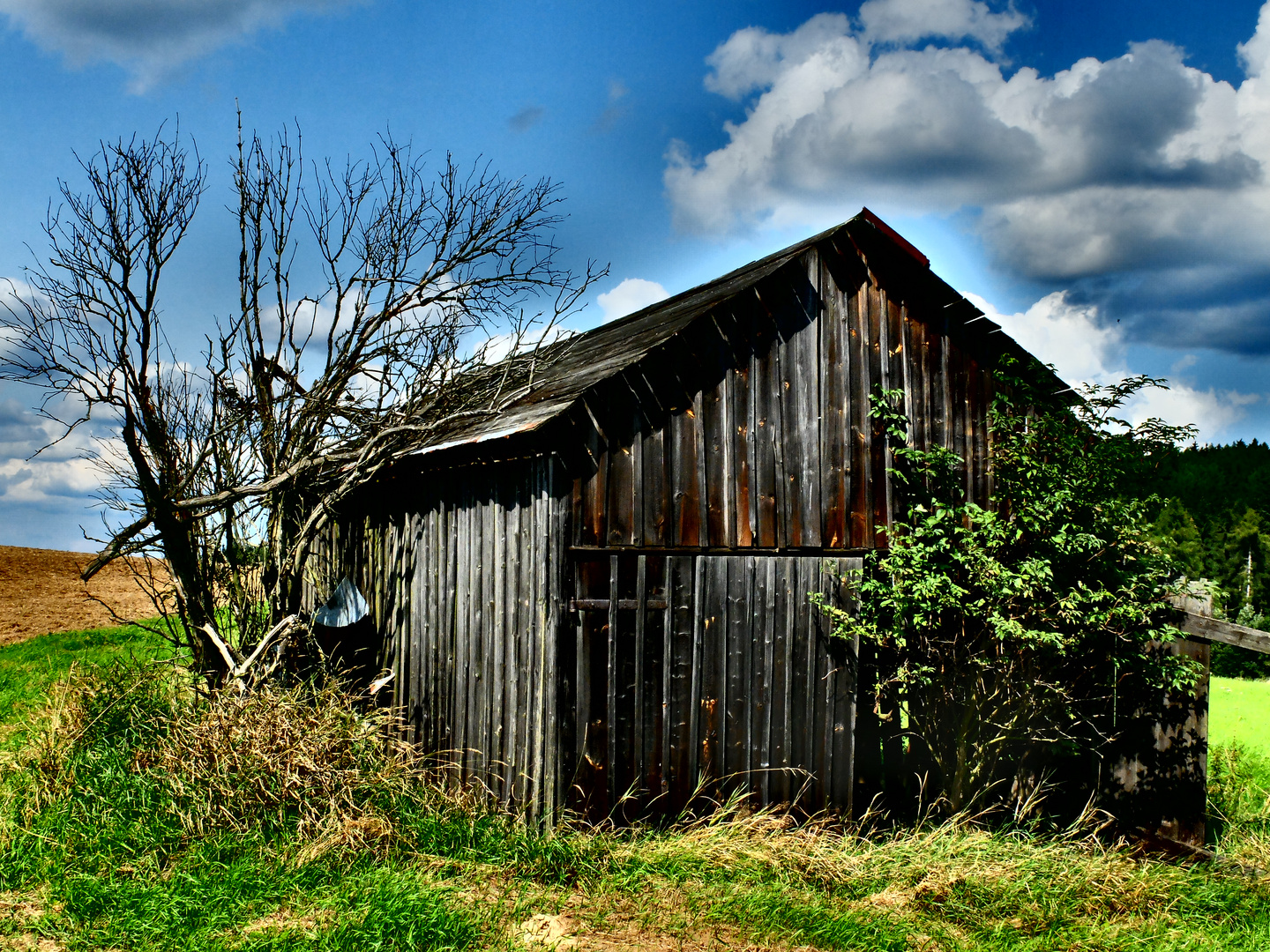 Alte Scheune Foto & Bild | landschaft, rückkehr der natur, fotos für ...