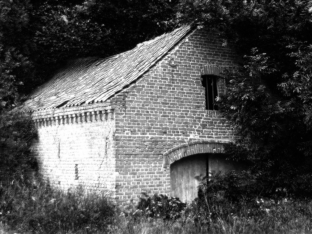 Alte Scheune Foto & Bild | architektur, ländliche architektur, motive ...