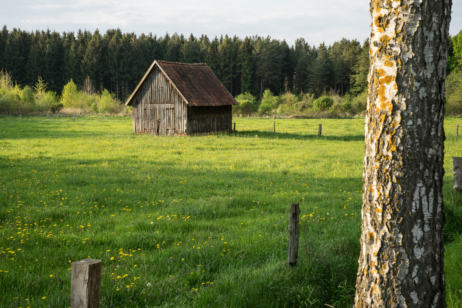 Alte Scheune Foto & Bild | landschaft, Äcker, felder & wiesen, scheune ...
