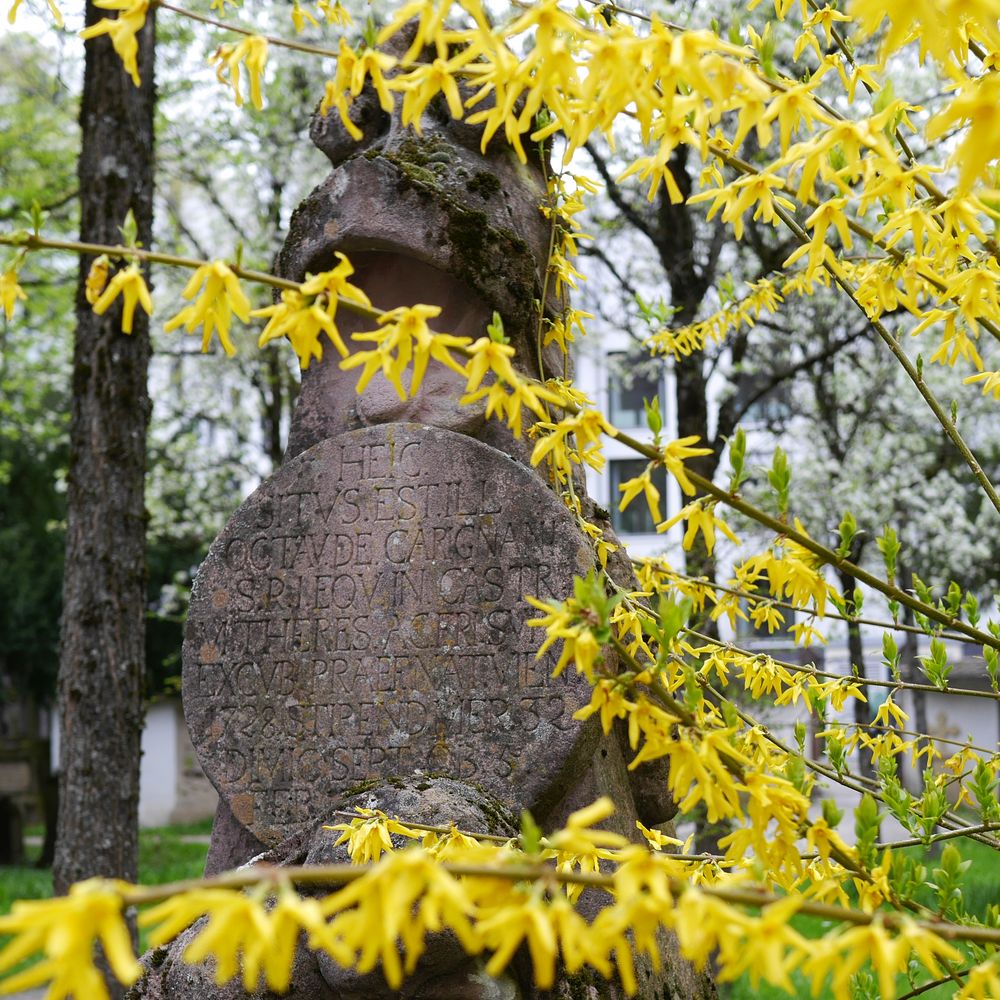 Alter Grabstein Foto & Bild | architektur, friedhöfe, projekte Bilder ...