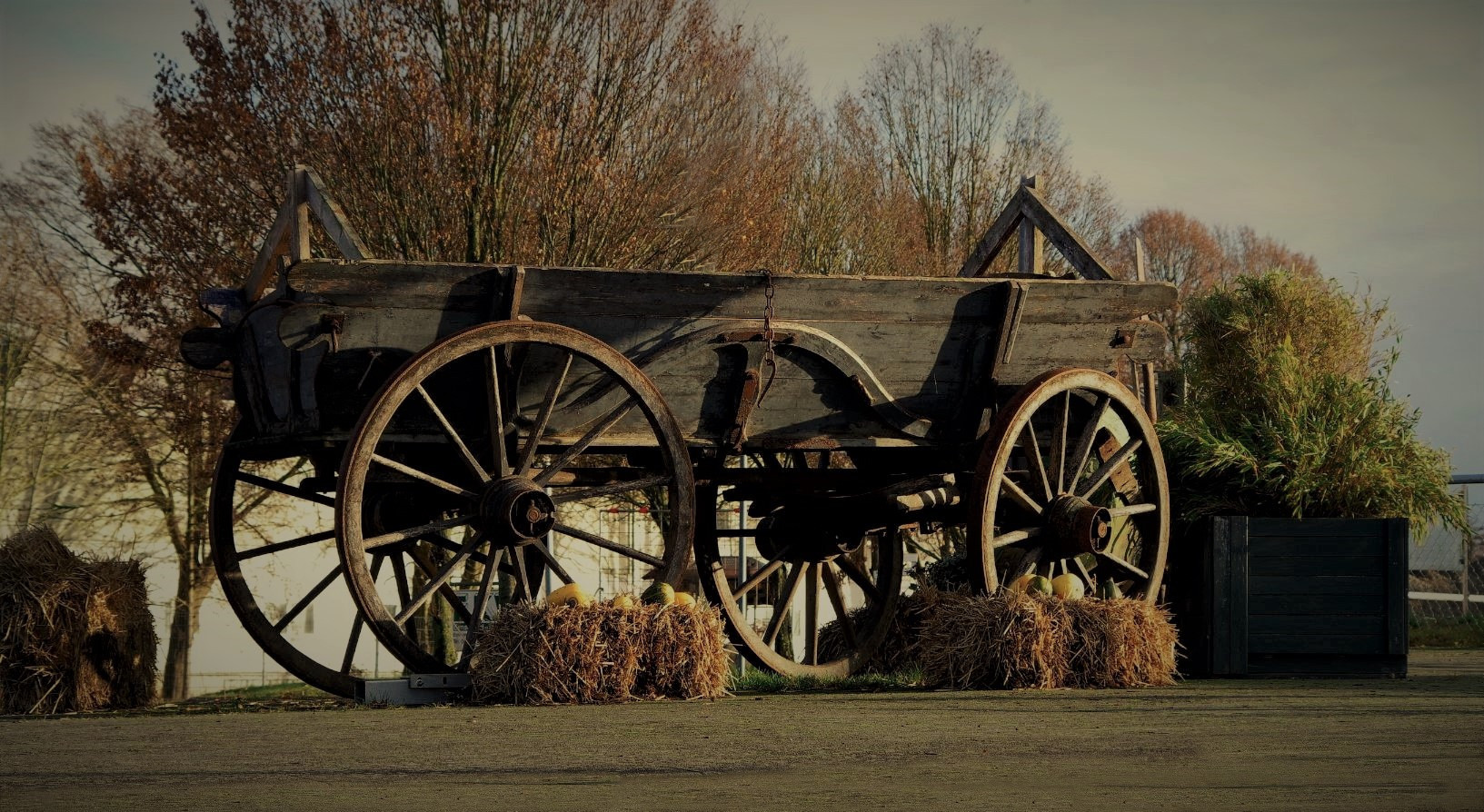 alter Karren Foto & Bild | spezial, dokumentation, alt Bilder auf ...