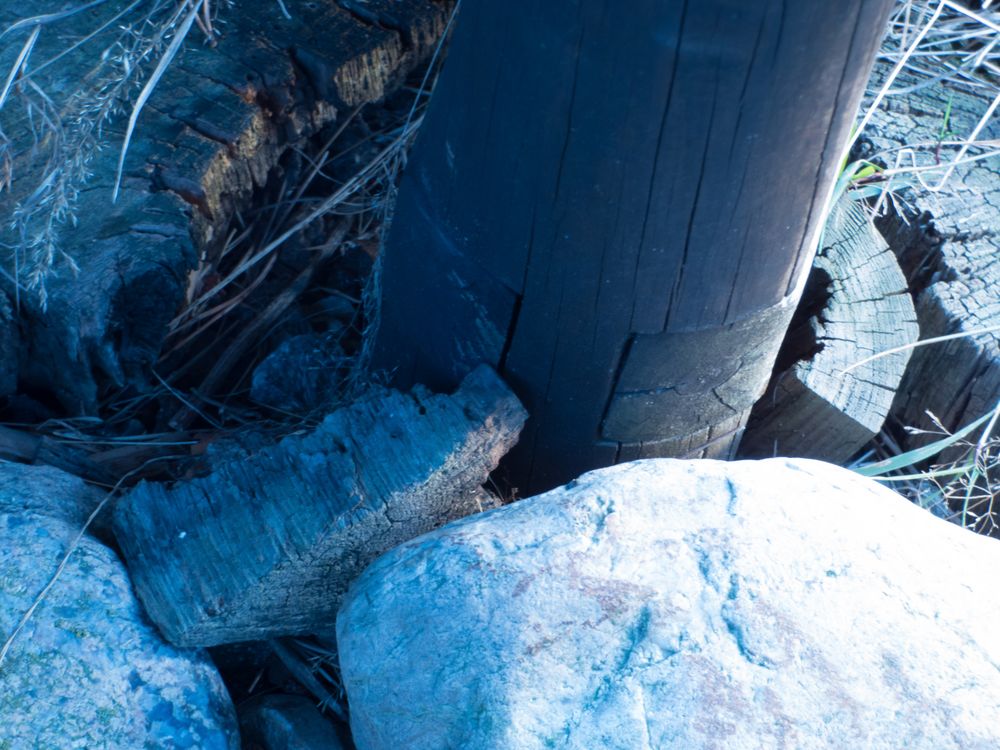 Alter Pfahl Foto & Bild | natur,landschaften,p, outdoor, alt Bilder auf ...