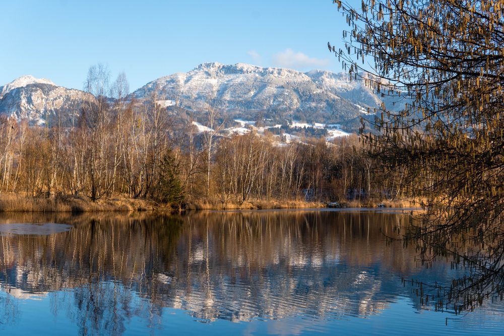 Alter Rhein bei Diepoldsau, Foto & Bild | landschaft, bach, fluss & see ...