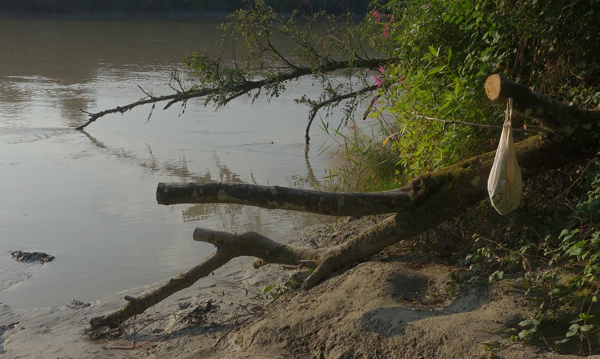 Alter Sack Foto & Bild | äste, bayern, oberbayern Bilder auf fotocommunity
