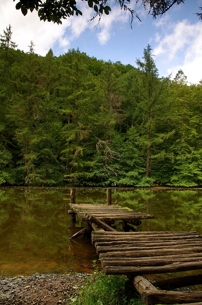 Alter Steg Foto & Bild | landschaft, wald, pentax Bilder auf fotocommunity