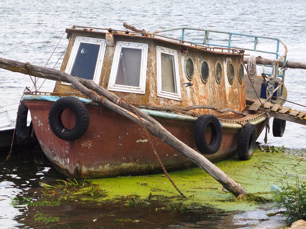 Altes Boot in Mila 23 Foto & Bild | world, natur, reisen Bilder auf ...